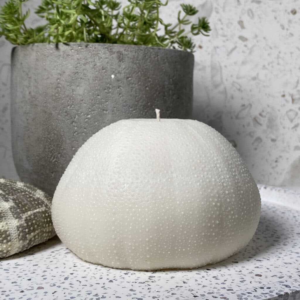 Giant Sea Urchin Candle by Simply Shells