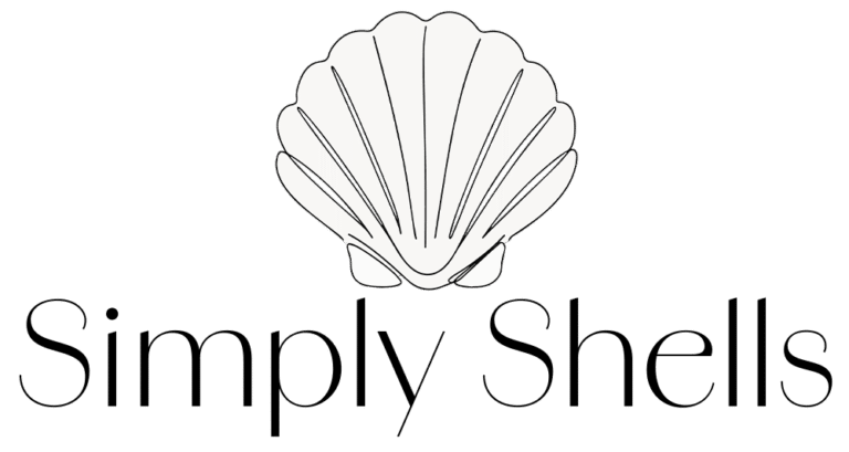 Cowrie Shells - Simply Shells